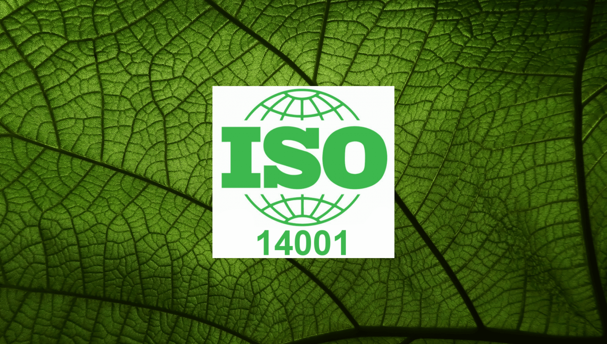 Formation ISO 14001 Tunisie